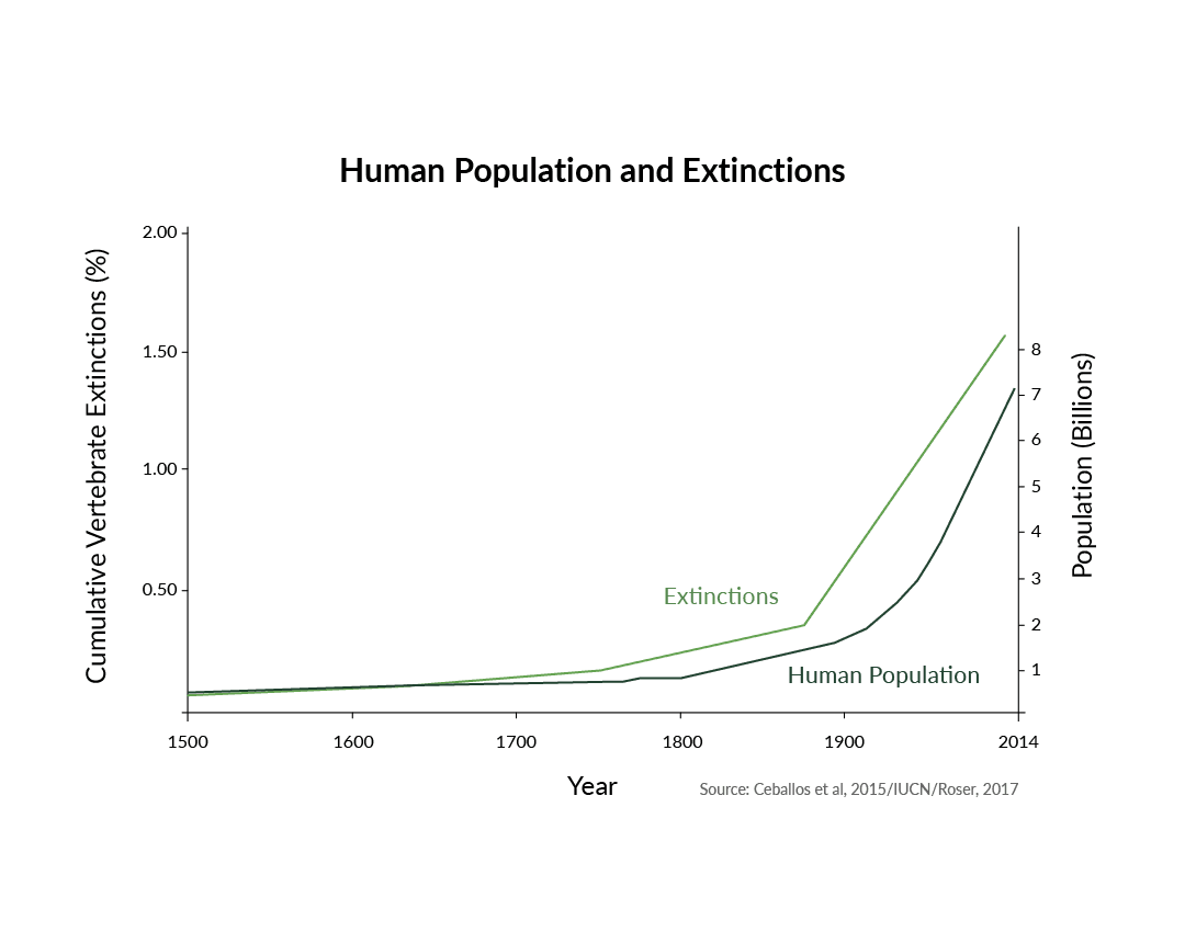 Extinction Crisis - Colcom Foundation